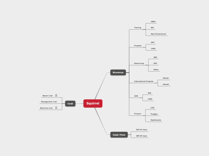 Squirrel Disaster Recovery Plan - Mind Map