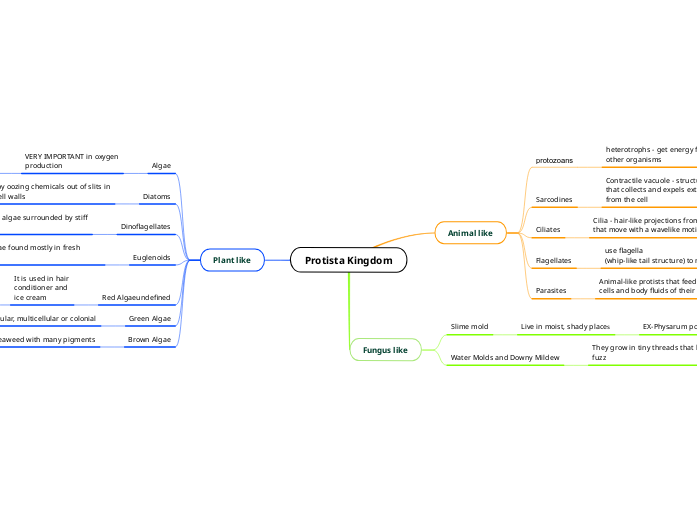 Protista Kingdom - Mind Map