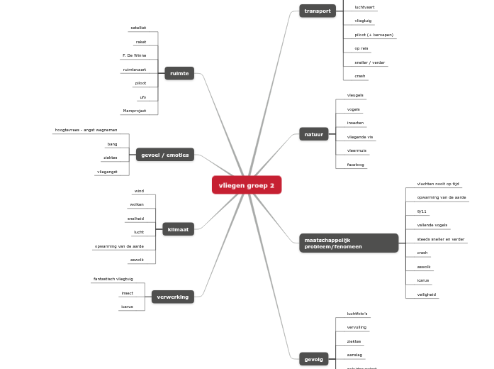 vliegen groep 2 - Mind Map