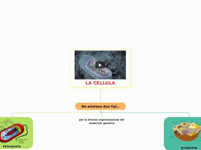 LA CELLULA - Mappa Mentale