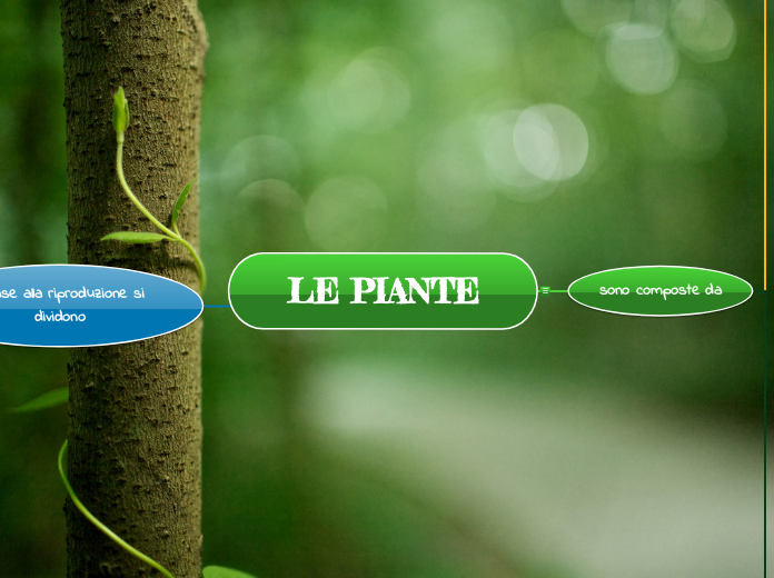 LE PIANTE - Mind Map