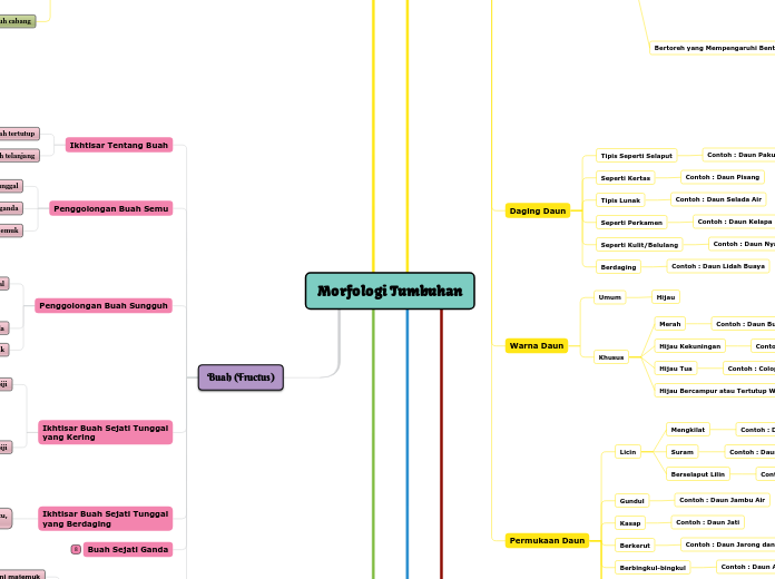 Morfologi Tumbuhan - Mind Map