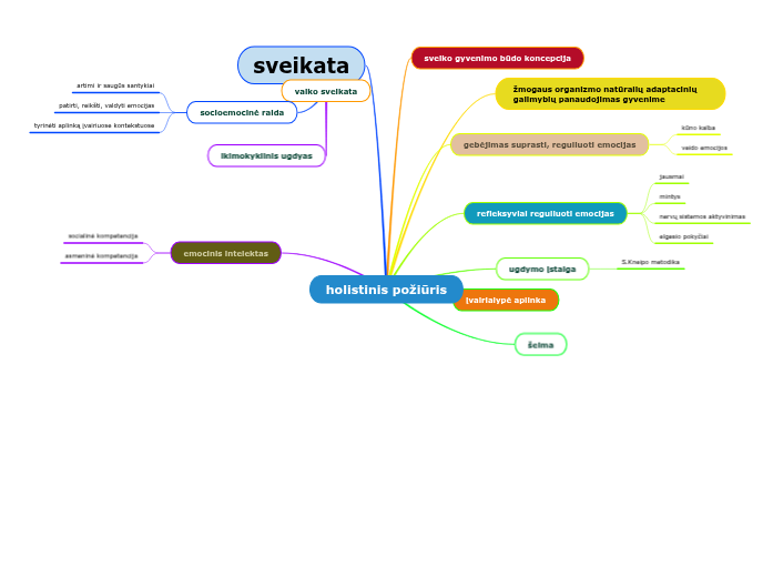 holistinis požiūris - Mind Map