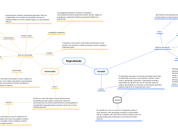 Reproducão - Mind Map