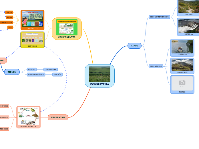 ECOSISTEMA - Mind Map
