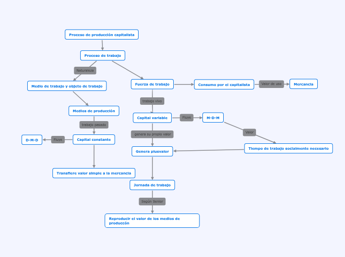 Proceso de producción capitalista - Concept Map