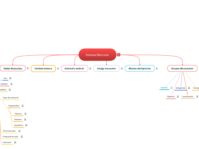 Sistema Muscular - Mind Map