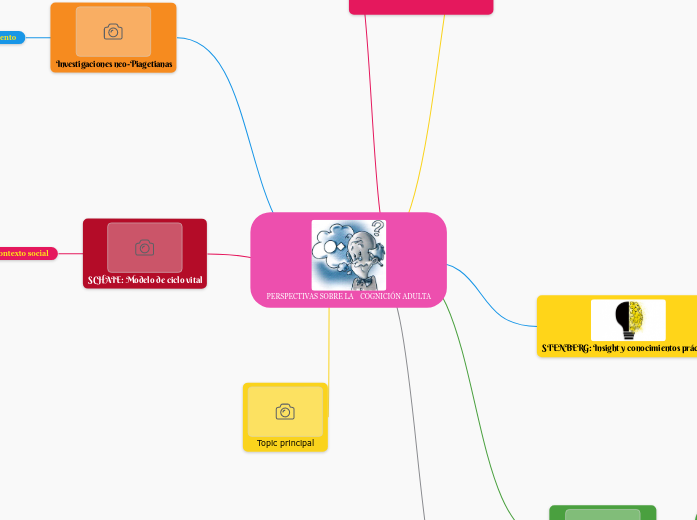 PERSPECTIVAS SOBRE LA COGNICIÓN ADULTA - Mind Map