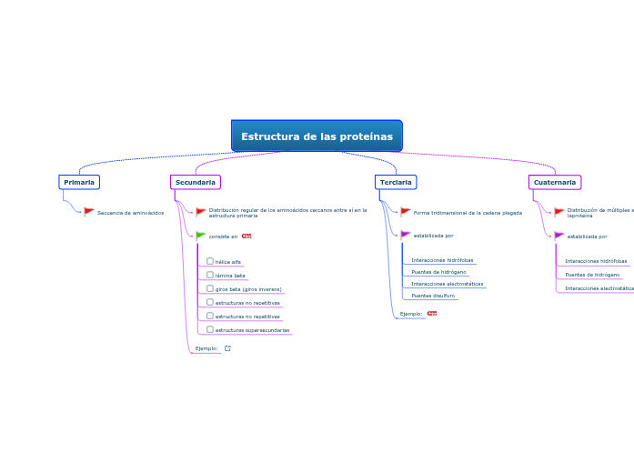 Estructura de las proteínas - Mind Map