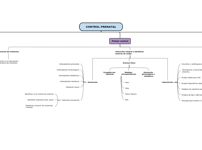 Control Prenatal - Mind Map