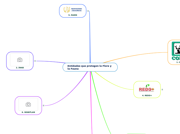 Entidades que protegen la Flora y la Fauna - Mind Map