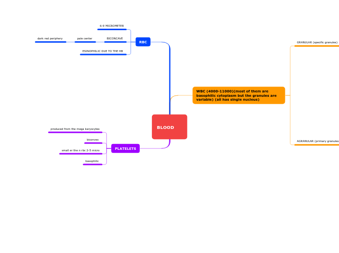 BLOOD - Mind Map