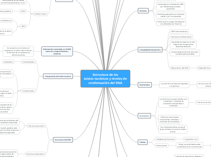 Estructura de los ácidos nucleicos y nivel...- Mind Map