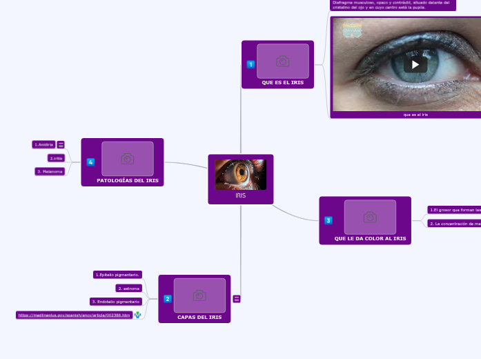 iris - Mind Map