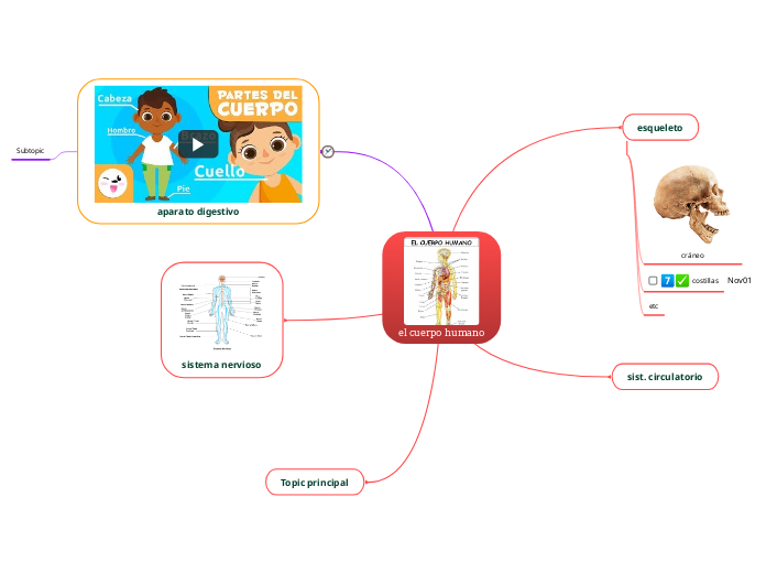 el cuerpo humano - Mind Map