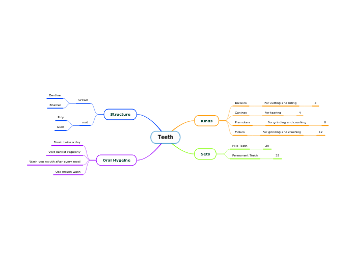 Teeth - Mind Map
