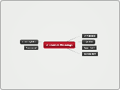 Anatomy & Physiology - Mind Map