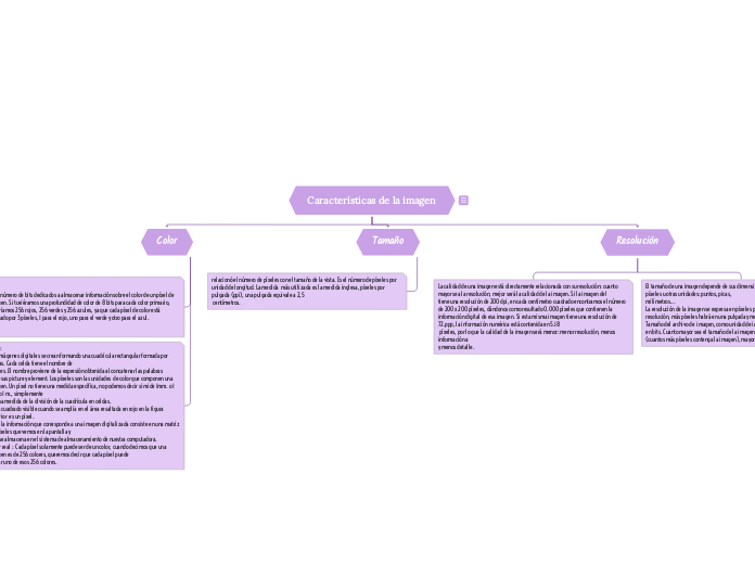 Características de la imagen - Mind Map