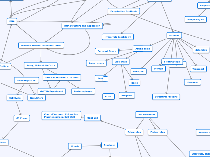 Concept Map - Mind Map