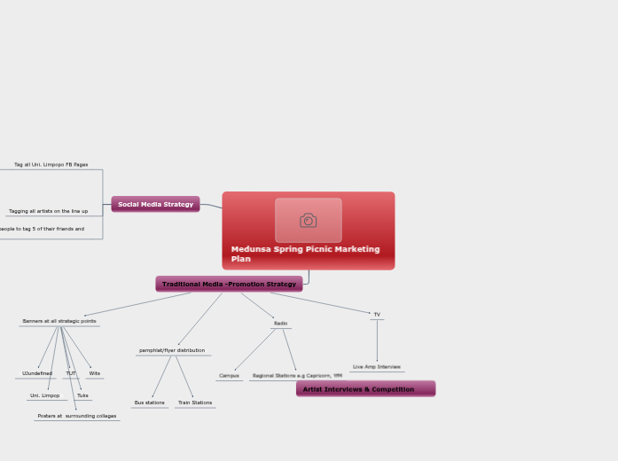 Medunsa Spring Picnic Marketing Plan - Mind Map
