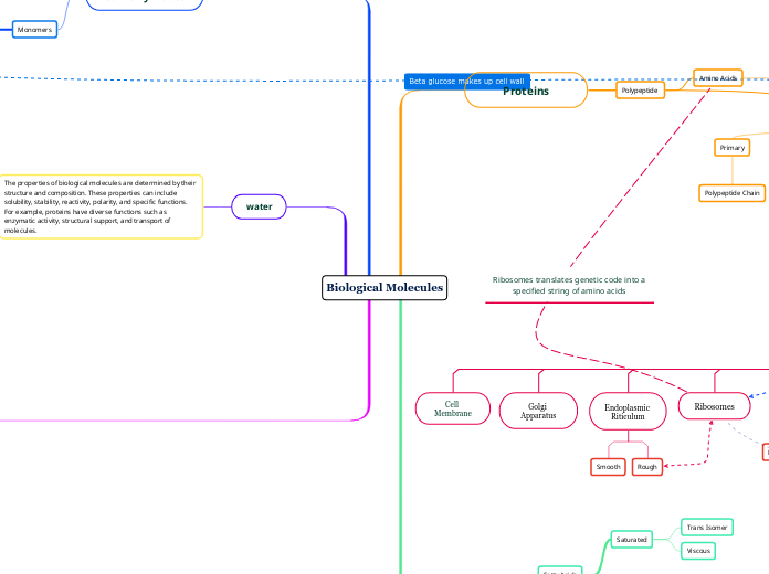 Biological Molecules - Mind Map