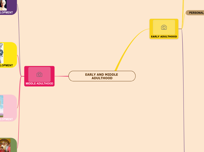 EARLY AND MIDDLE ADULTHOOD - Mind Map