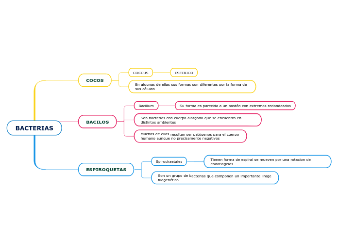 BACTERIAS - Mind Map