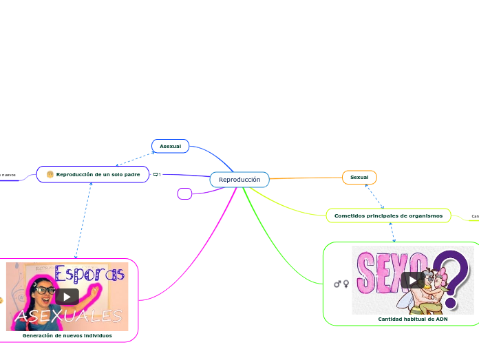 Reproduccion Laura Sofia Novoa Ramos 802 - Mind Map