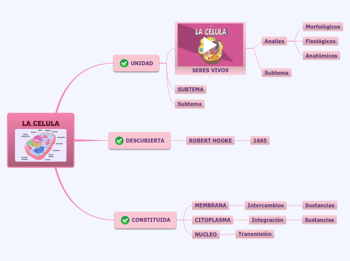 LA CELULA - Mind Map