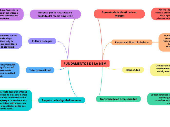 FUNDAMENTOS DE LA NEM - Mind Map
