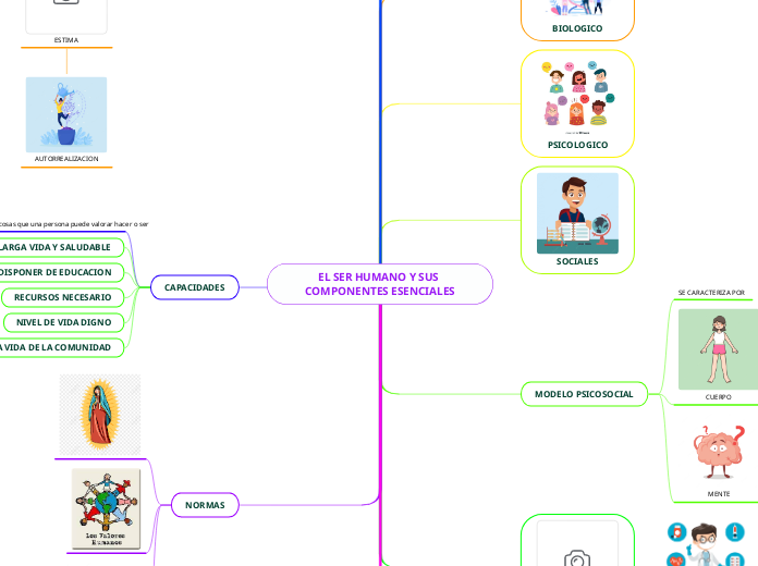 EL SER HUMANO Y SUS COMPONENTES ESENCIALES - Mind Map