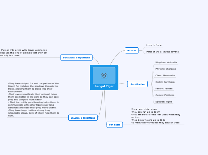 Animal Chart - Mind Map