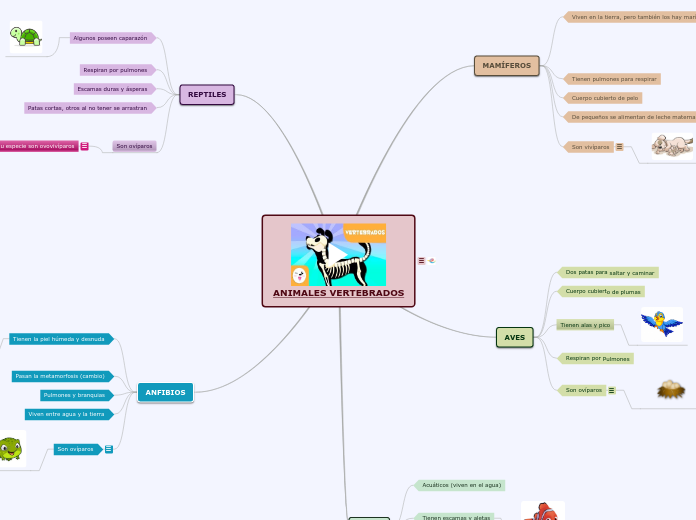 ANIMALES VERTEBRADOS - Mind Map