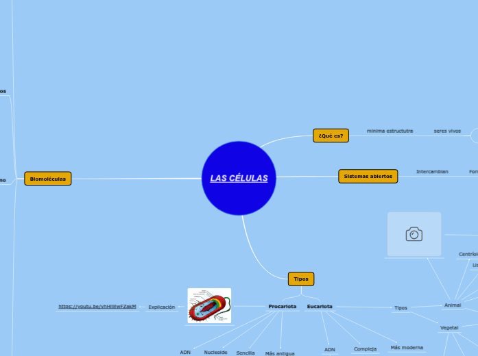 LAS CÉLULAS - Mind Map