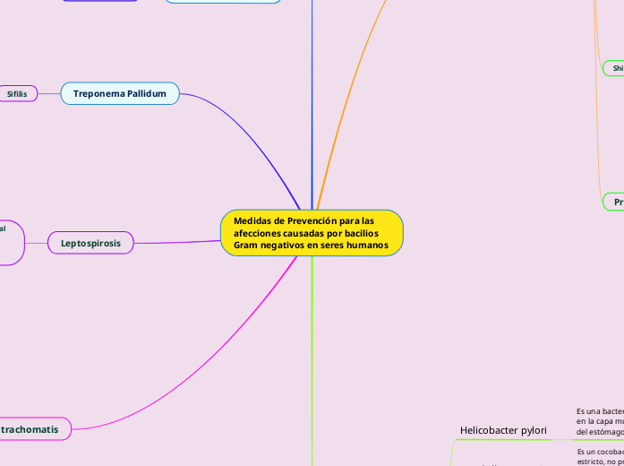 Medidas de Prevención para las afecciones ...- Mind Map