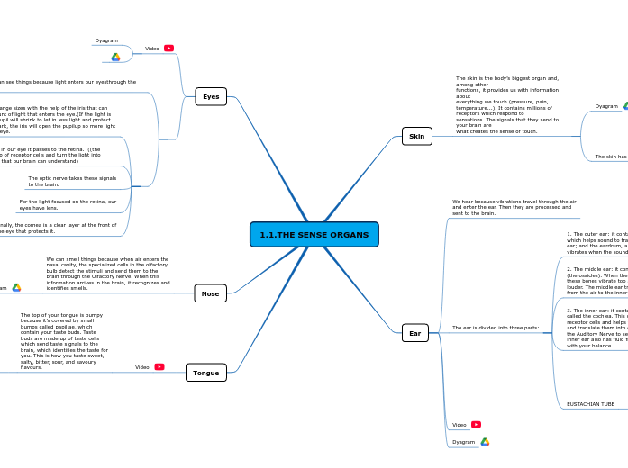 1.1.THE SENSE ORGANS - Mind Map