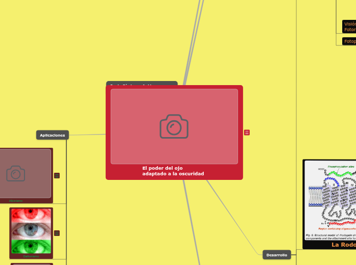 200720831. El poder del ojo adaptado a la ...- Mind Map
