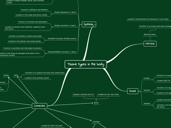 Tissue types in the body - Mind Map