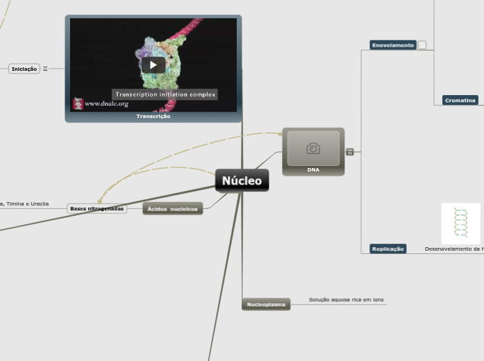 Núcleo - Mapa Mental