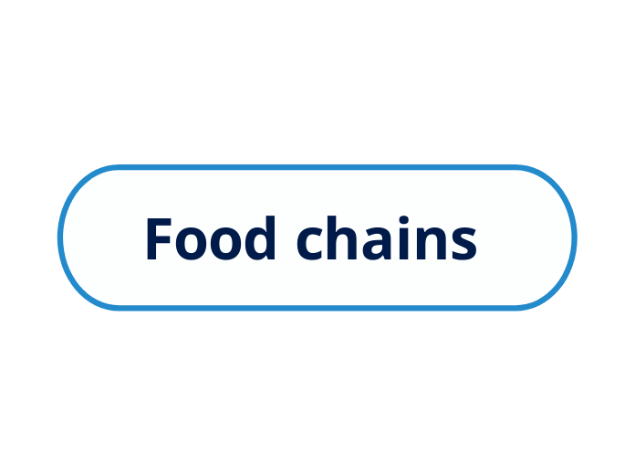 Food chains - Mind Map