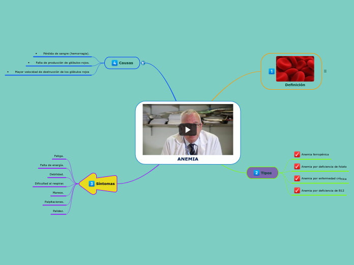 ANEMIA - Mind Map