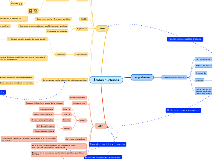Ácidos nucleicos - Mind Map