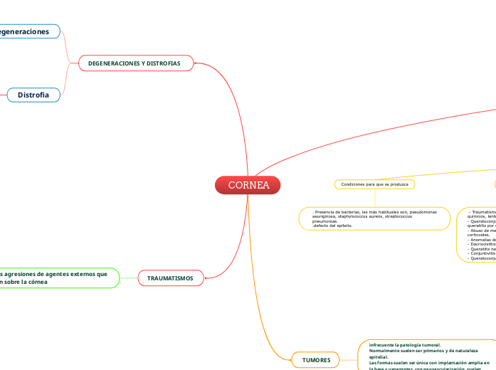 CORNEA - Mind Map