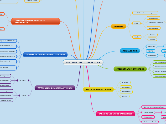 SISTEMA CARDIOVASCULAR - Mind Map