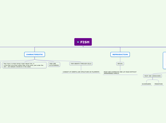 fish project Karen y Paula - Mind Map