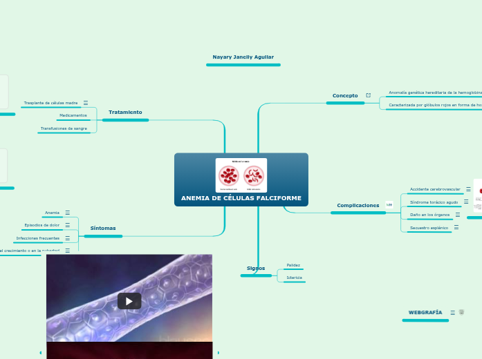 ANEMIA DE CÉLULAS FALCIFORME - Mind Map
