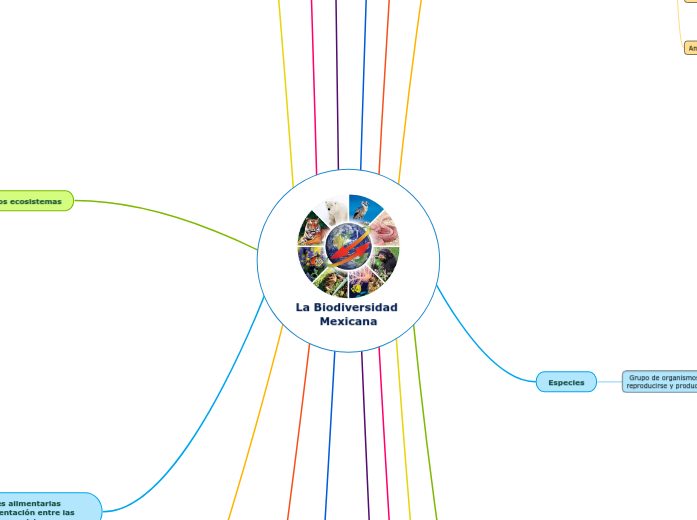 Biodiversidad Mexicana - Mind Map