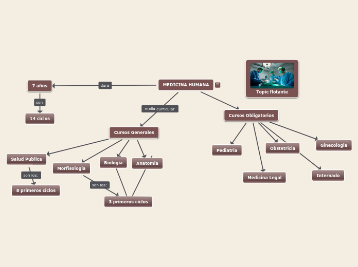 MEDICINA HUMANA - Mind Map
