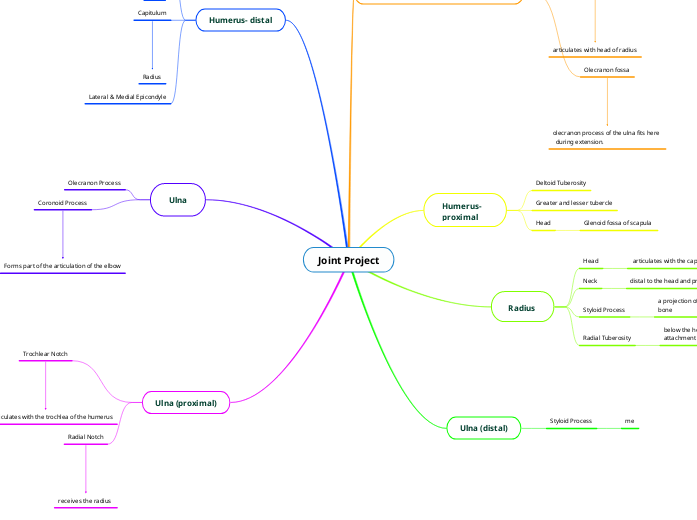 Joint Project - Mind Map