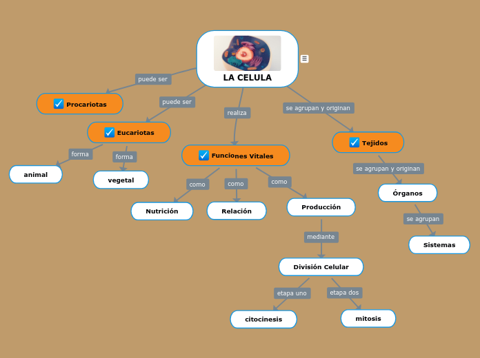 LA CELULA - Mind Map